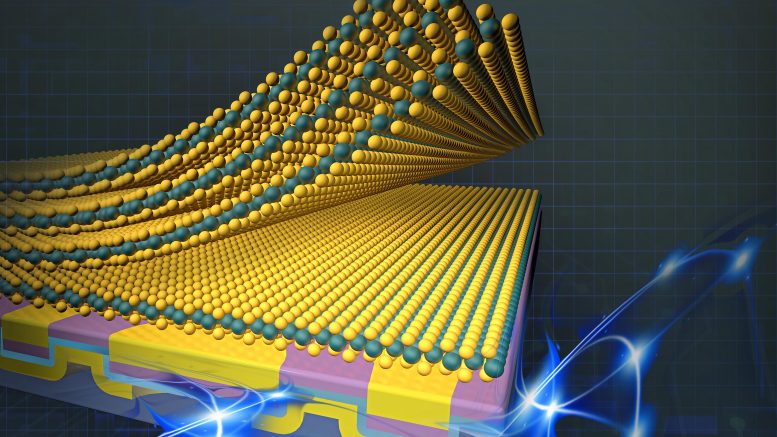 Technology News, Research & Innovations - SciTechDaily