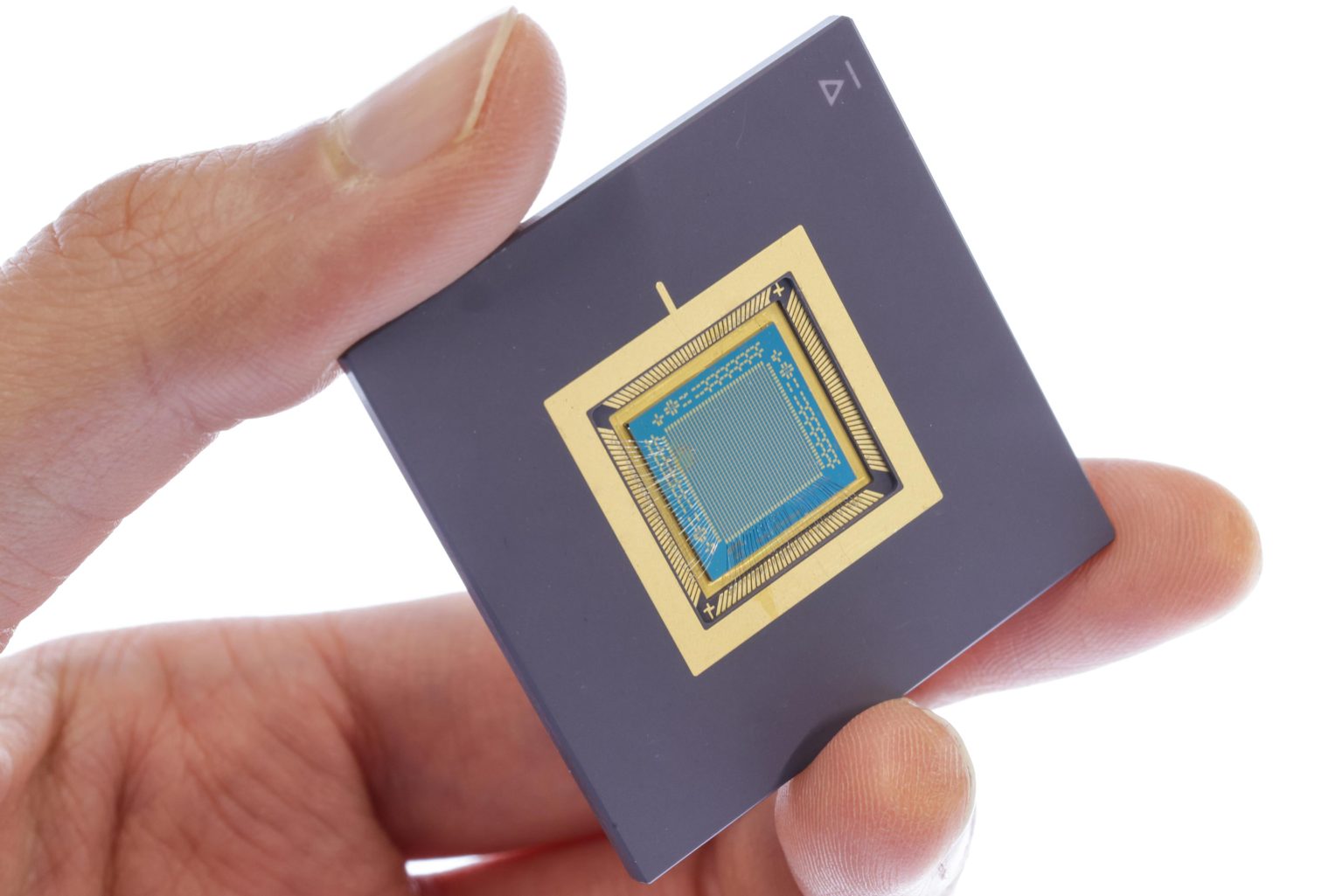 A Milestone in Computing: 2D In-Memory Processor With Over 1000 Transistors