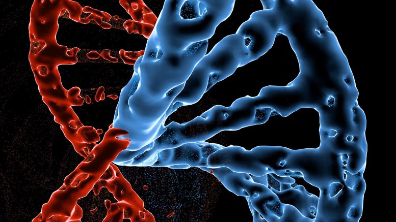 NASA’s OSIRIS-REx Spacecraft Views Jupiter