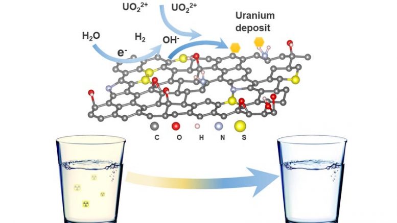 Harnessing the Power of Uranium To Treat Diseases Like Cancer