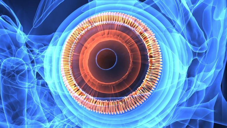 A New Genetic Eye Disease Has Been Discovered