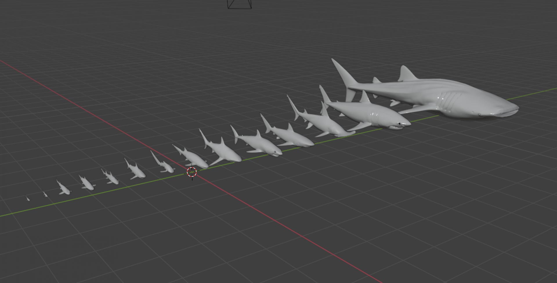 Sharks Follow This Universal Math Rule, Confirming a Century-Old Law of Biology