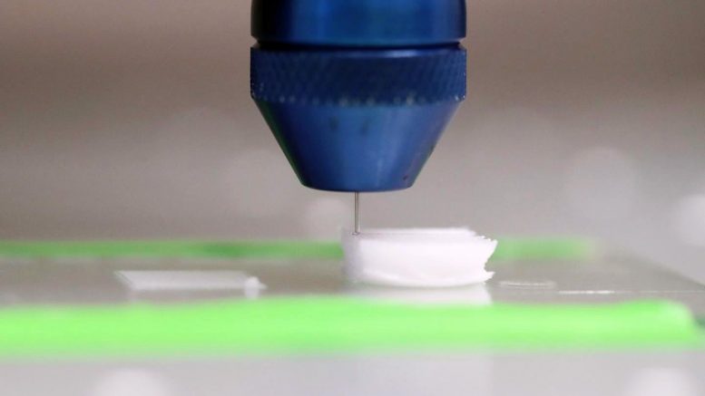 Fast, Colorful 3D Printing by Mimicking Chameleons at the Nanoscale