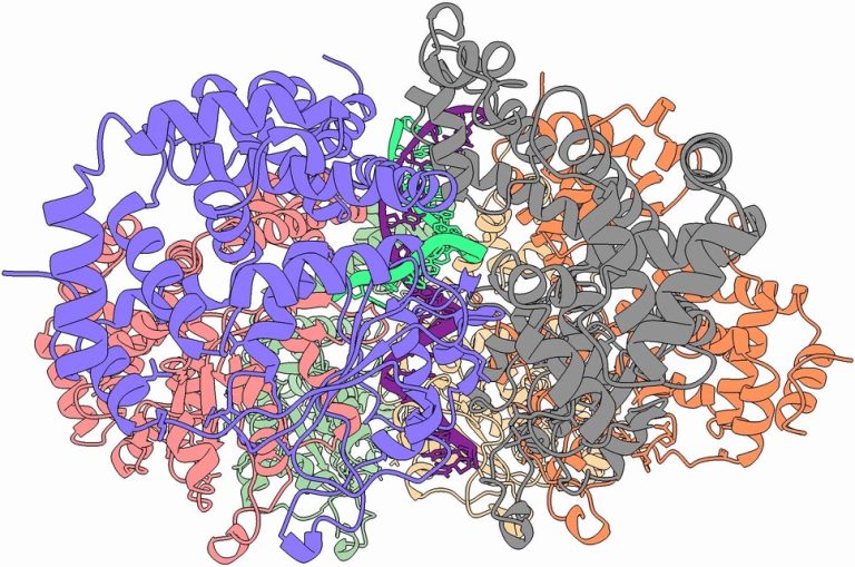 Scientists Capture DNA Unwinding for the First Time