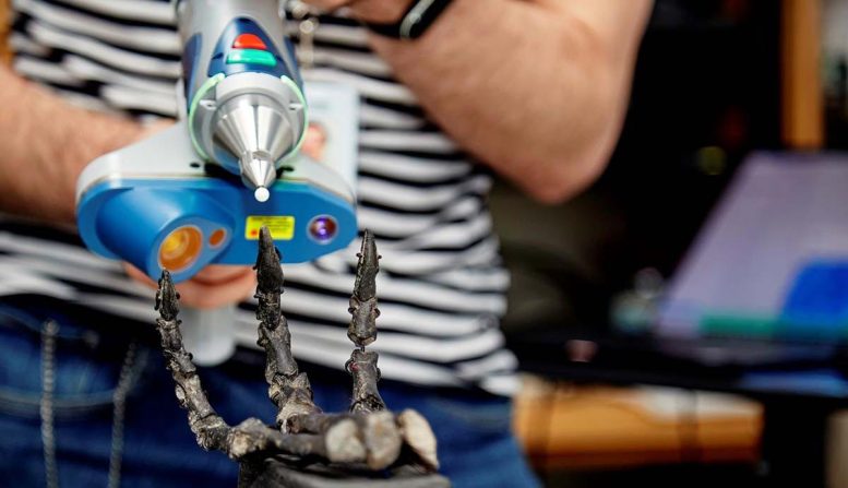 Paleontologists Unearth New Species of “Mystery” Dinosaur