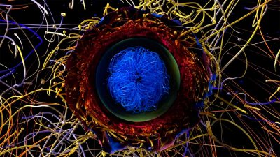 Unraveling the Universe: Supernovae Secrets Decoded via Supercomputers