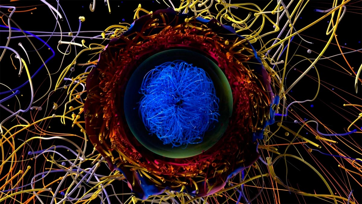 Unraveling the Universe: Supernovae Secrets Decoded via Supercomputers