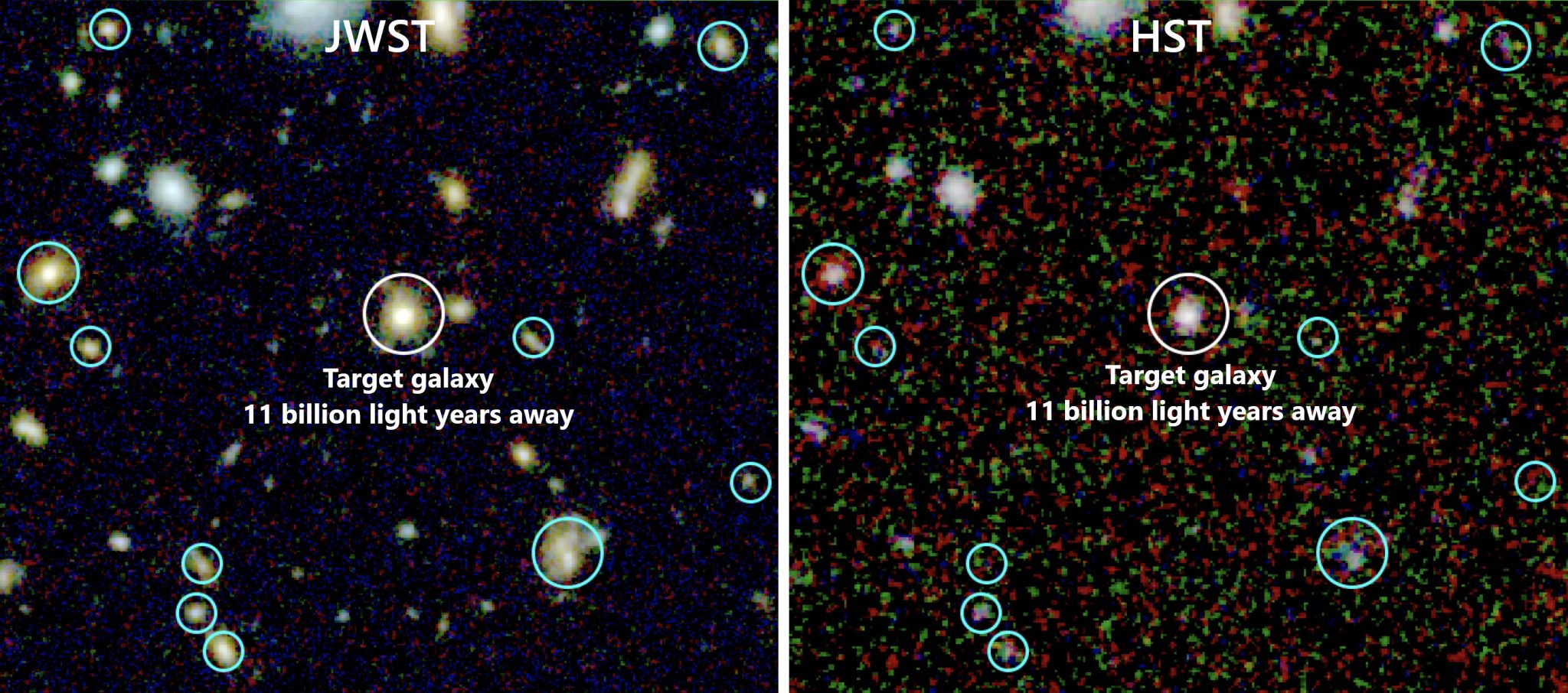 From the Distant Past: JWST Unveils Secrets of 12-Billion-Year-Old Star-Forming Galaxies