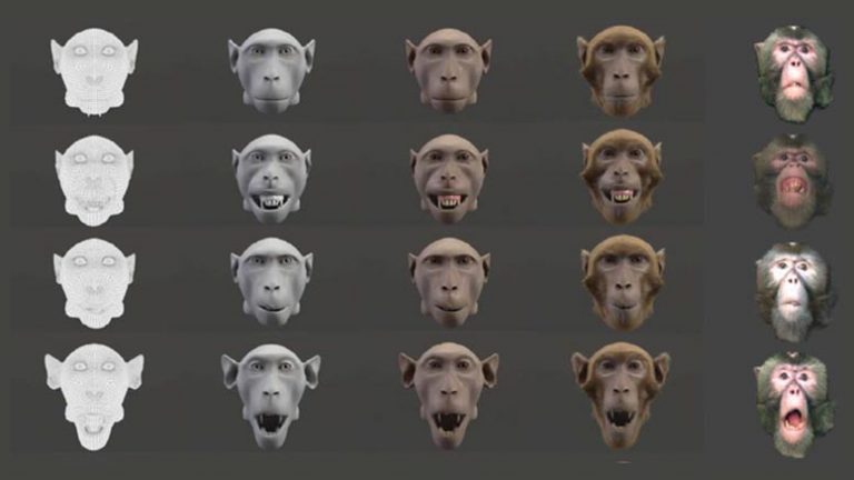 Monkeys Experience the Uncanny Valley Effect, Just Like Humans