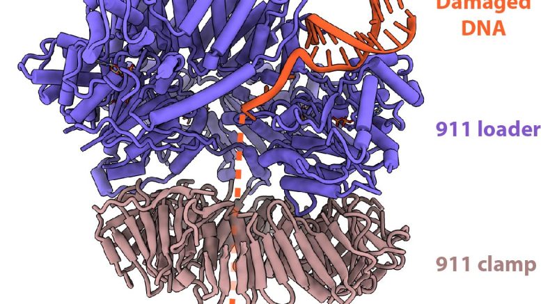 Hubble Image of the Week: Galaxy NGC 6052