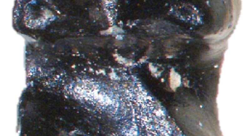 Science News & Research Discoveries - Page 9 of 200 - SciTechDaily