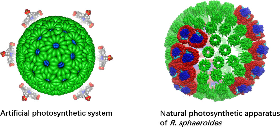 More Efficient Than Natural Photosynthesis – New Photocatalytic System ...