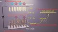 Artificial Photosynthesis System Poses Win/Win for the Environment