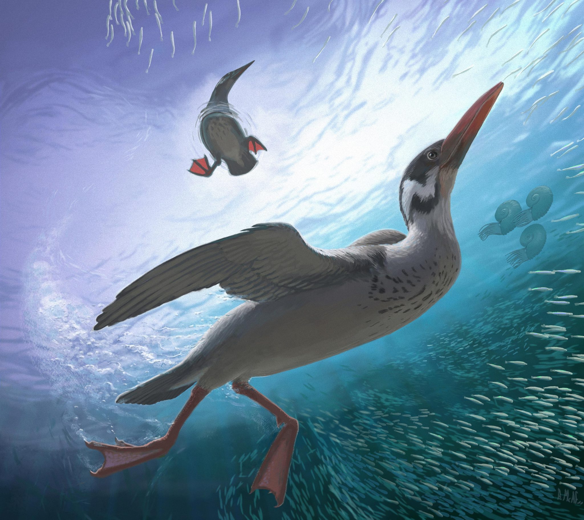 A 69-Million-Year Evolutionary Mystery: Scientists Discover Oldest ...
