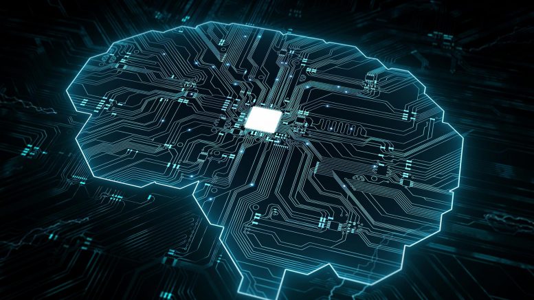 Images of Brain Connectivity Help Predict Intelligence