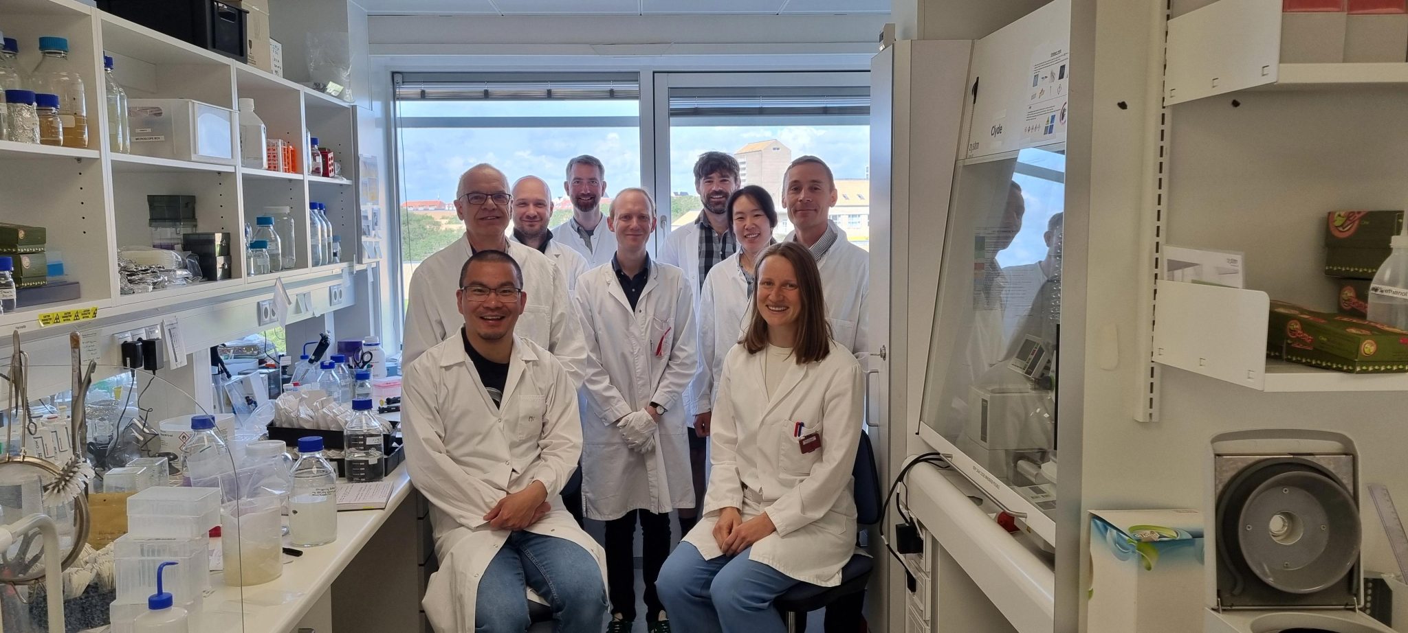 Groundbreaking Discovery: How Zinc Could Change Farming Forever