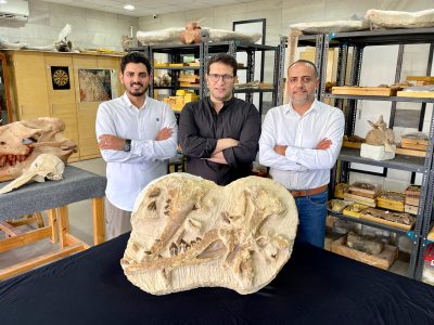 The Pharaoh of Whales: Remarkable New Species of Extinct Whale Discovered – Lived in Egypt 41 ...
