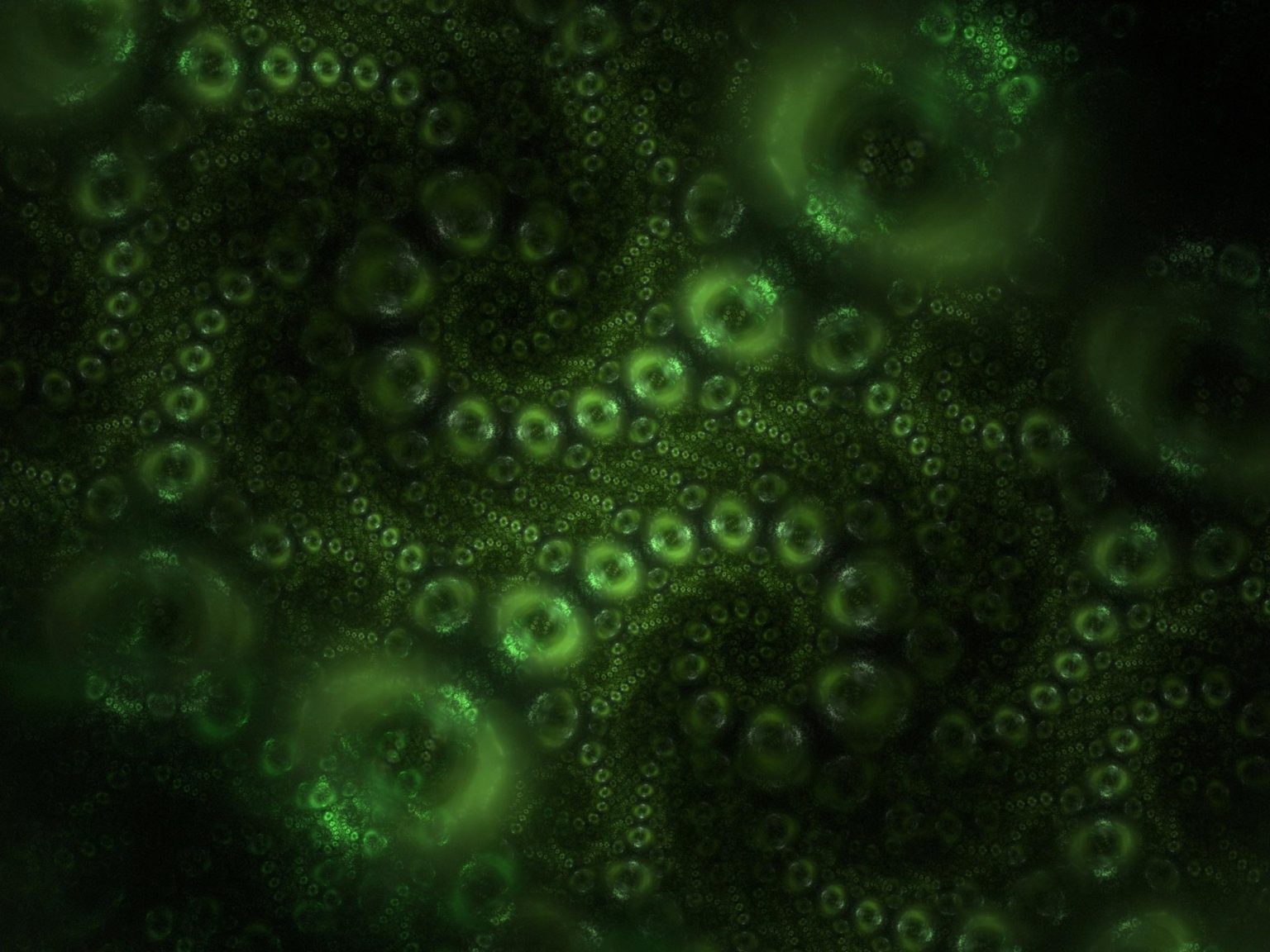 New Astrobiology Research Predicts Alien Life “As We Don’t Know It”