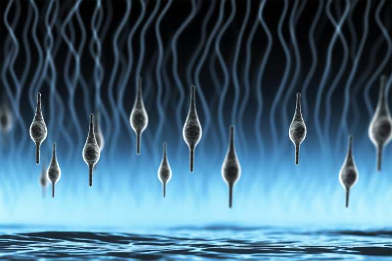 Mathematically Decoding Nature: Sperm Swimming Linked to Alan Turing’s ...