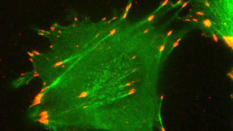 New Computer Program Can Read Any Genome Sequence and Decipher Its ...