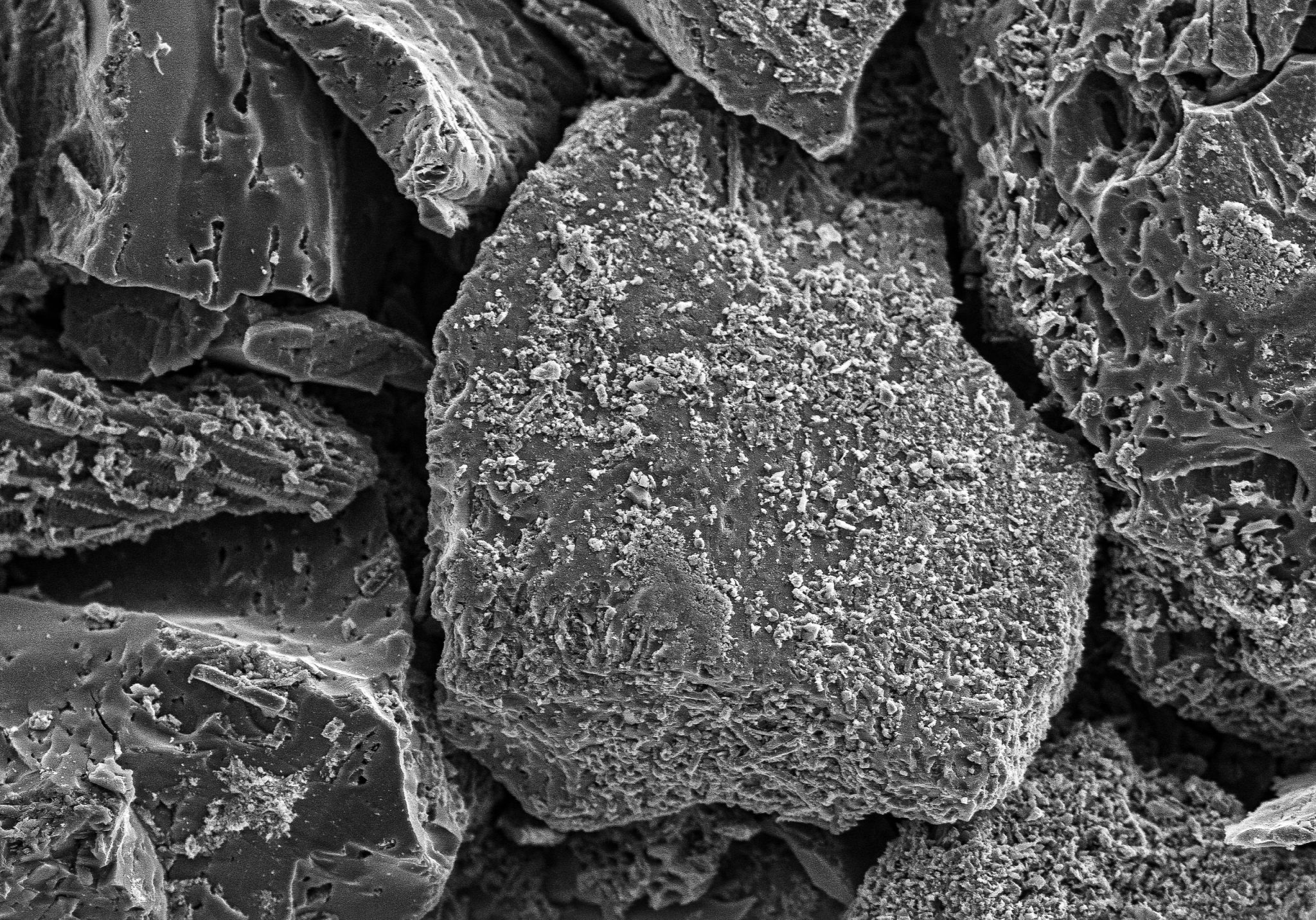 Trapping Carbon With Humidity: A Breakthrough That Makes CO2 Capture ...