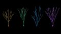 Adult-Born Neurons Grow More Than Their Counterparts From Infancy – May ...