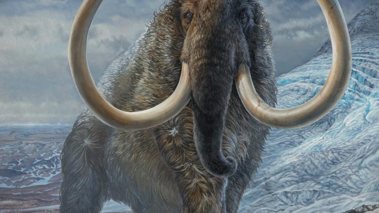 Study Resurrects Woolly Mammoth DNA to Explore the Cause of Their ...