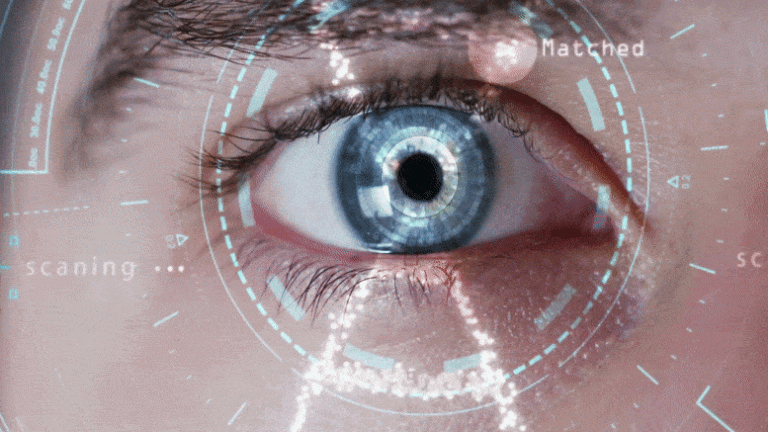 Scientists Restore Basic Elements of Vision in Live Mice