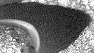 HiRISE Spots Sand Dunes Near Nili Patera on Mars