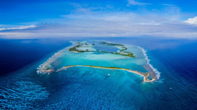 KAUST News - SciTechDaily