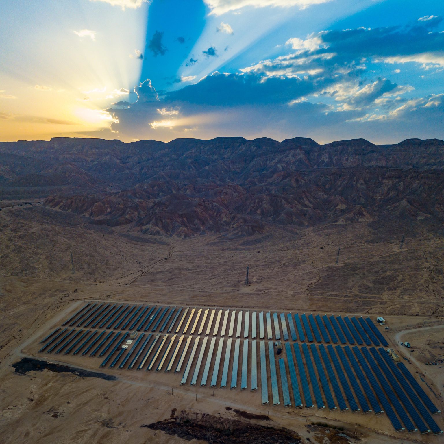 Solar Panels vs Planting Trees – Which Triumphs in the Fight Against ...