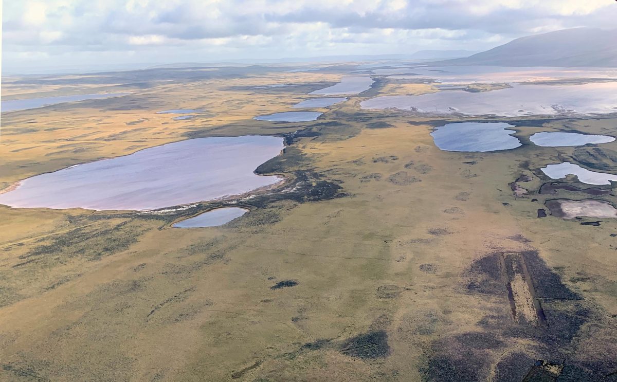 30-Million-Year-Old Forest Discovered Under Falkland Islands