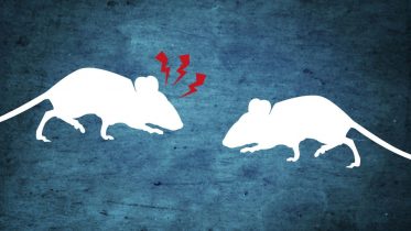 Unlocking the Neuroscience of How Experiencing Traumatic Stress Leads ...