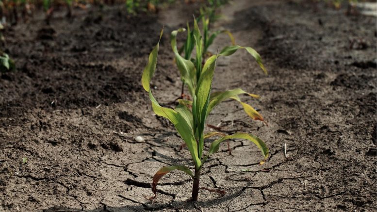 3 Things You Should Know: Climate Change’s Impact on Extreme-Weather Events