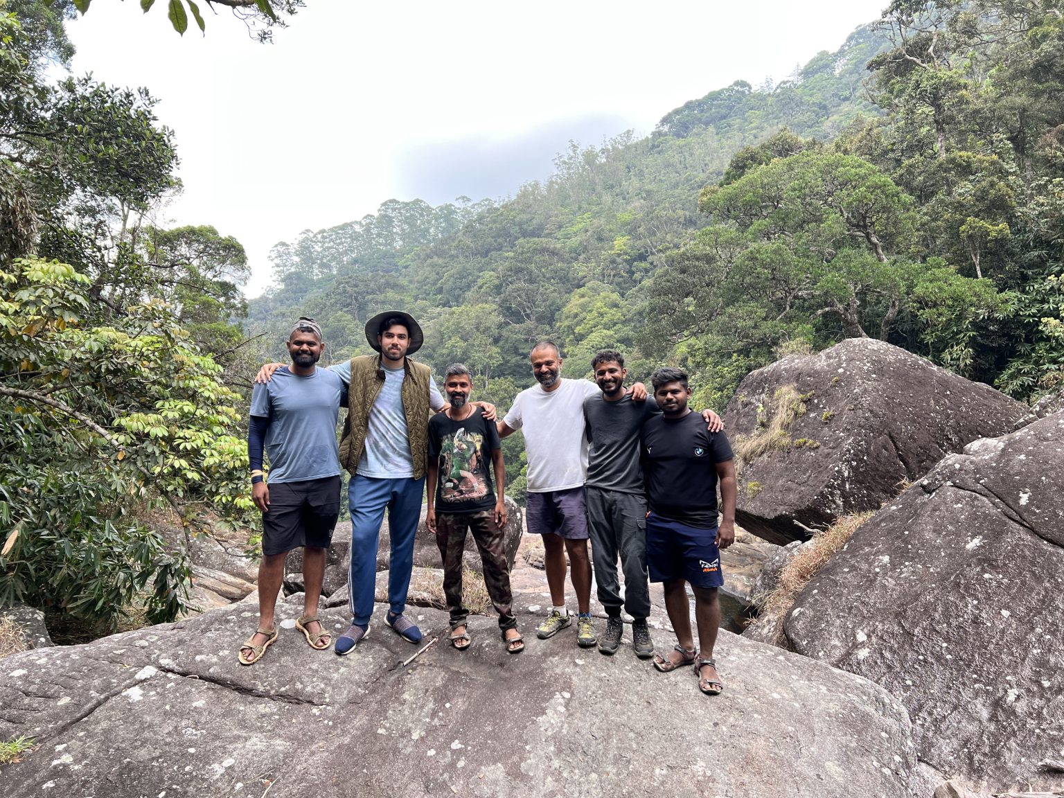 Hidden Art in Nature: Newly Discovered Lizard Species Resembles Van ...