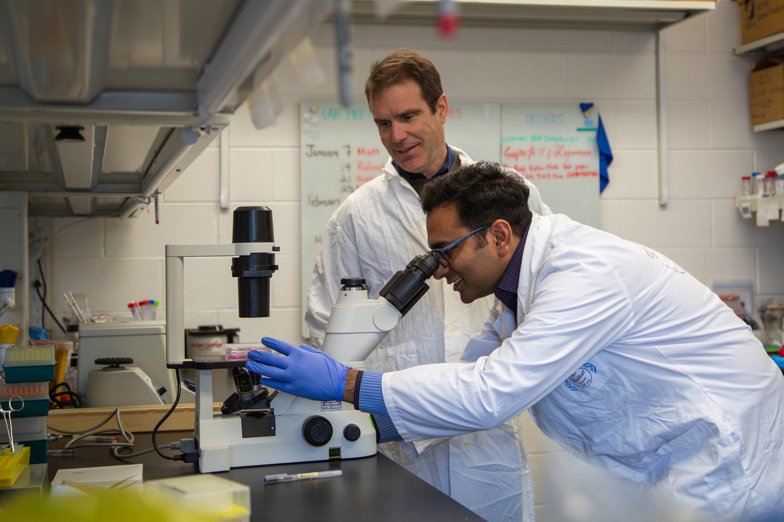 Low-Carb Diets May Fuel Colorectal Cancer, Concerning New Study Reveals