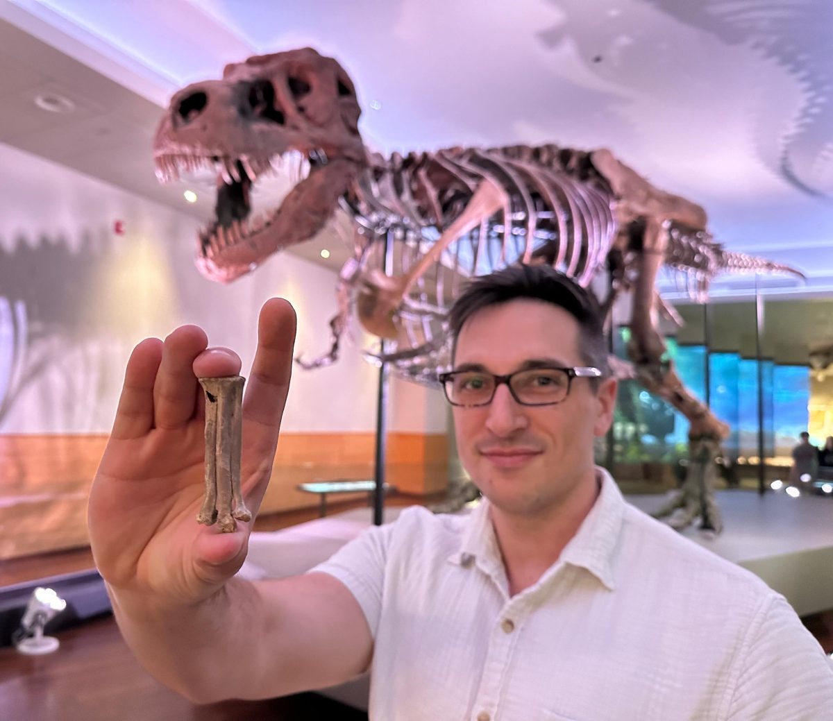 Hell Creek’s Deadly Predators: Newly Discovered Prehistoric Birds of ...