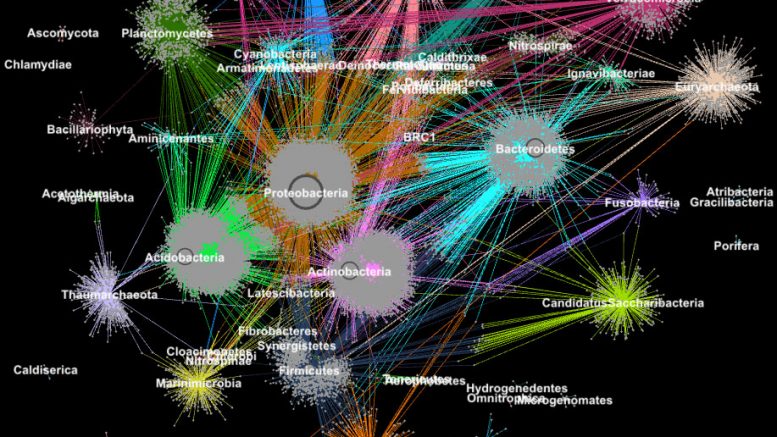From Genes To Memes New Algorithm To Help Scientists Demystify Complex