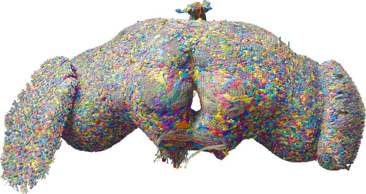 Inside the Fruit Fly’s Brain: A Stunning Journey Through 139,255 Neurons