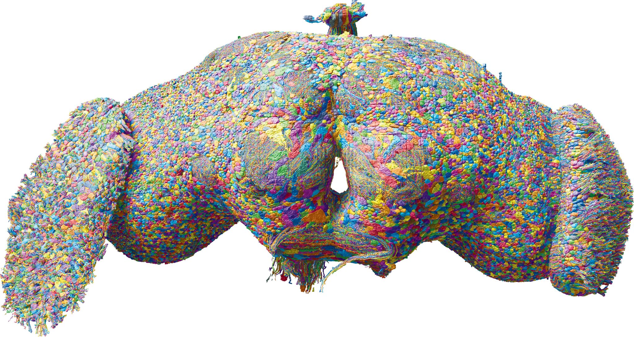 Inside the Fruit Fly’s Brain: A Stunning Journey Through 139,255 Neurons