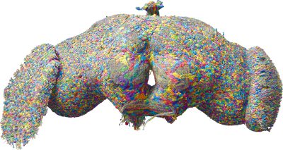Inside the Fruit Fly’s Brain: A Stunning Journey Through 139,255 Neurons
