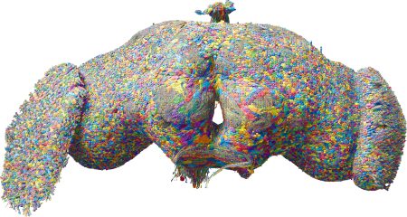 Inside the Fruit Fly’s Brain: A Stunning Journey Through 139,255 Neurons