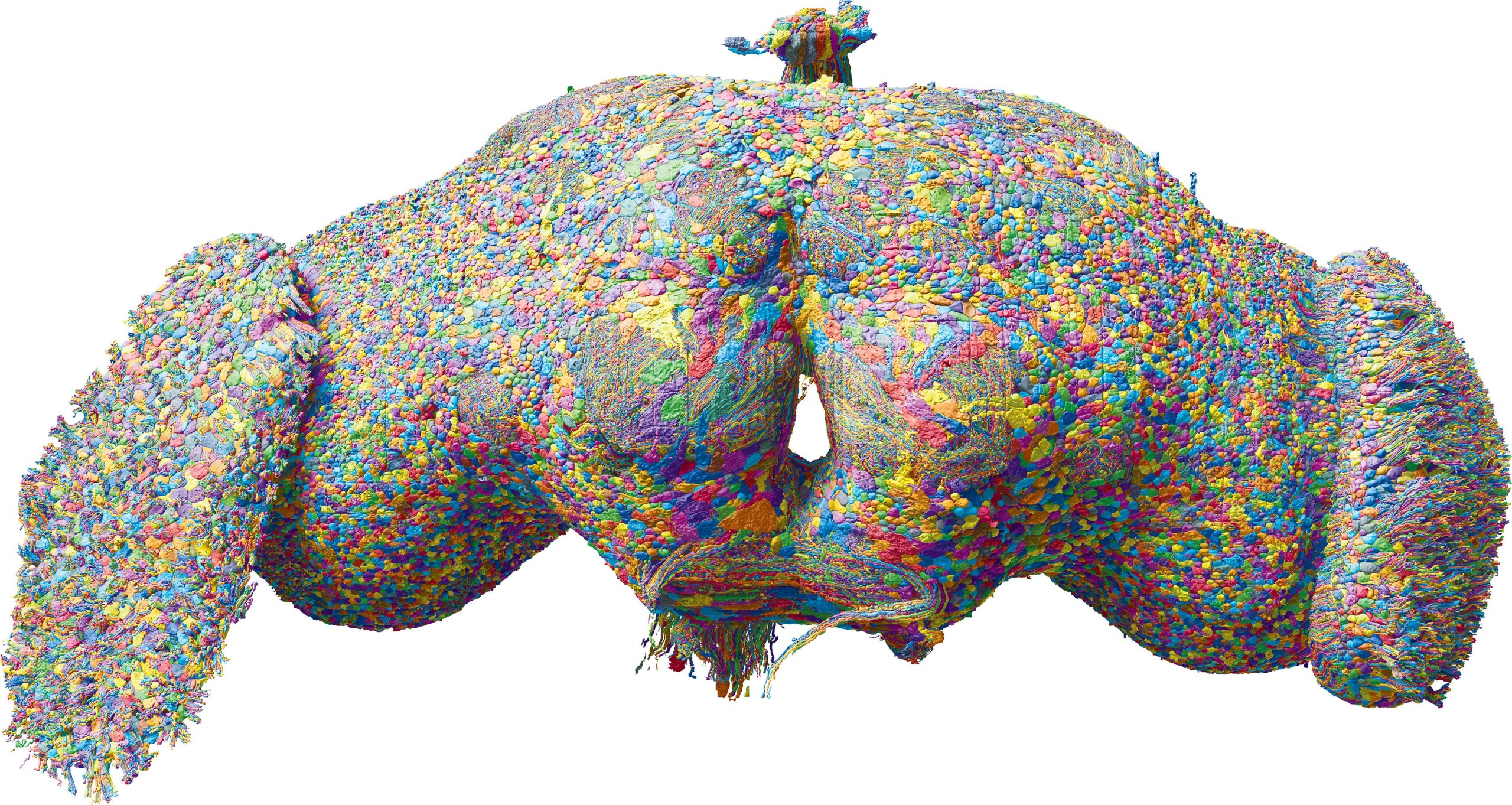 Inside the Fruit Fly’s Brain: A Stunning Journey Through 139,255 Neurons