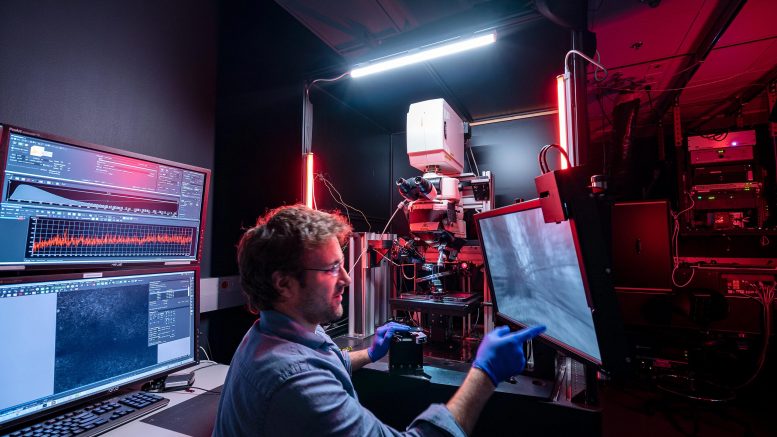 New Brain Mapping Technique Reveals Neural Code Of Vision Processing