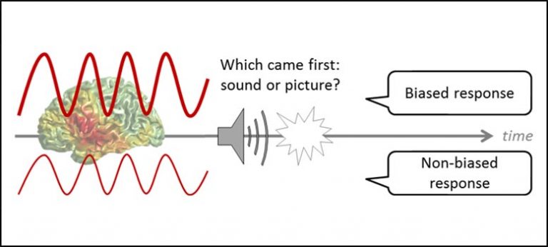 Scientists Can See the Bias in Your Brain – Even Before You Make Your ...