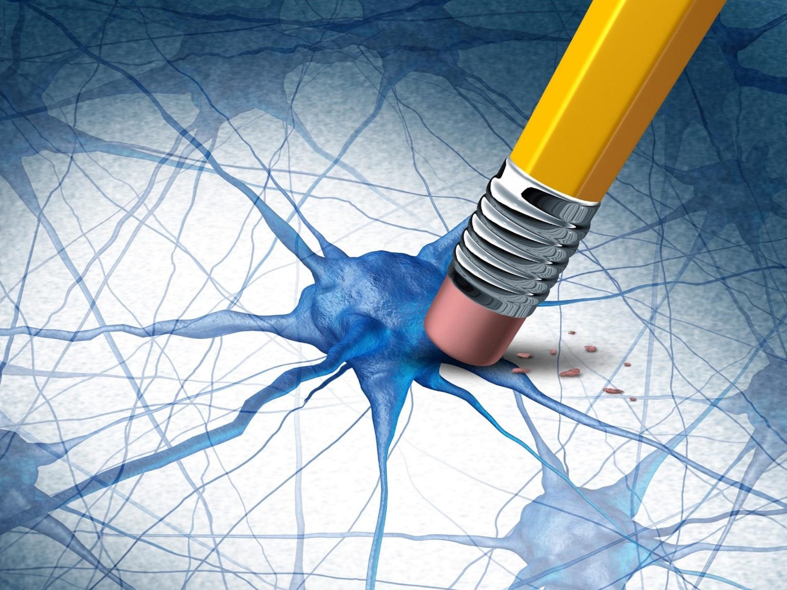 “Reverse Engineering” Brain Tissue Reveals Sugar-Studded Protein Linked ...