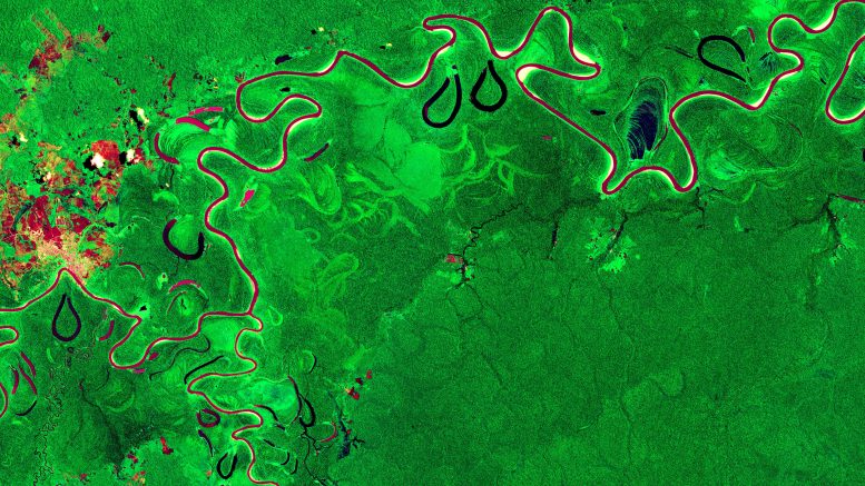 Filling the Climate Change Data Gap: Amazon Rainforest Gases Affect the ...