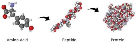 Unlocking the Universe’s Secret Code: The Quest to Understand Alien Life