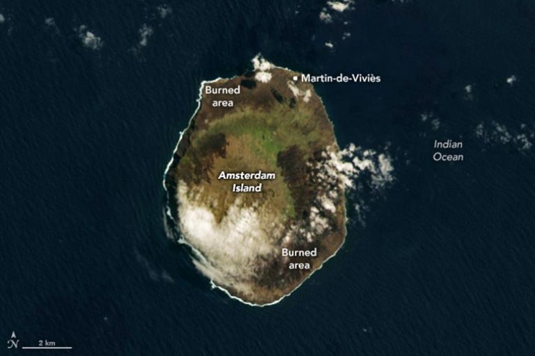Scientists Flee As Raging Wildfire Devours Amsterdam Island’s Critical ...