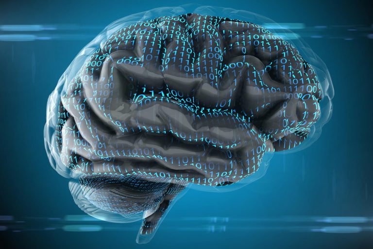 How Does Your Brain Make Everyday Decisions? [Video]